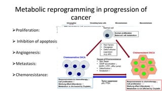 Metabolic reprogramming in cancer_Anupama Modi.pptx