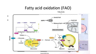 Metabolic reprogramming in cancer_Anupama Modi.pptx