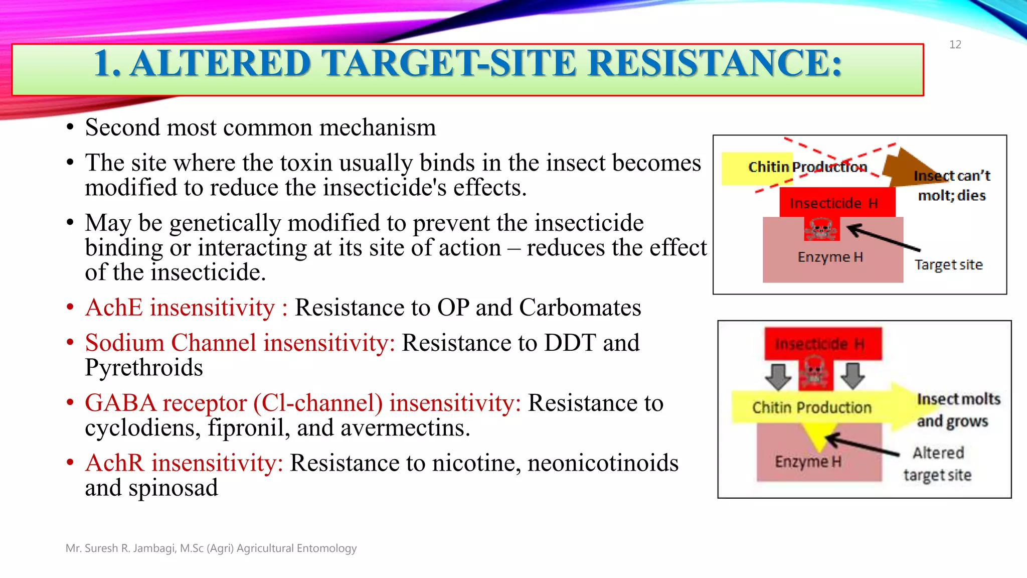 Metabolic resistance mechanism in insects | PPTX