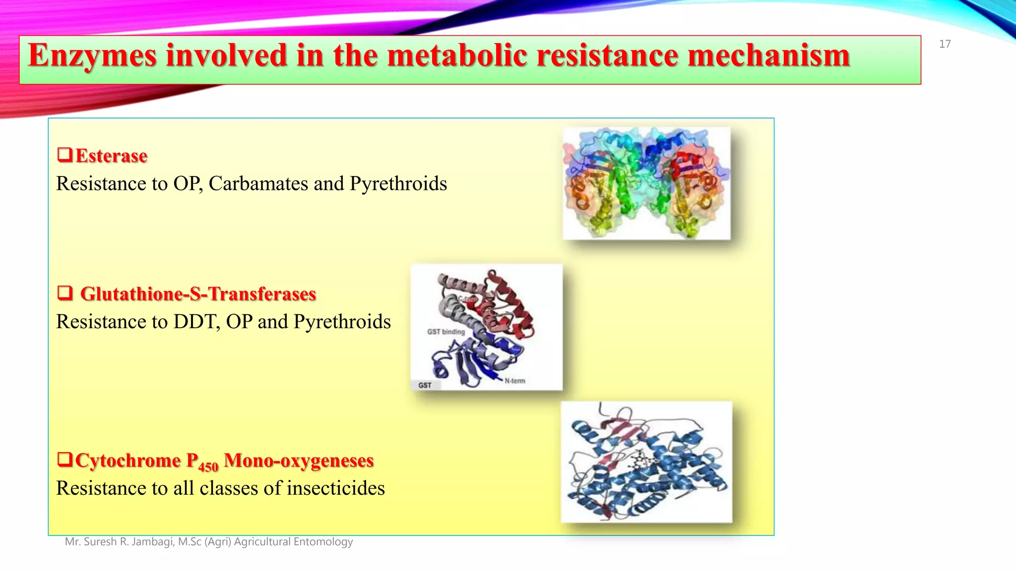 Metabolic resistance mechanism in insects | PPTX