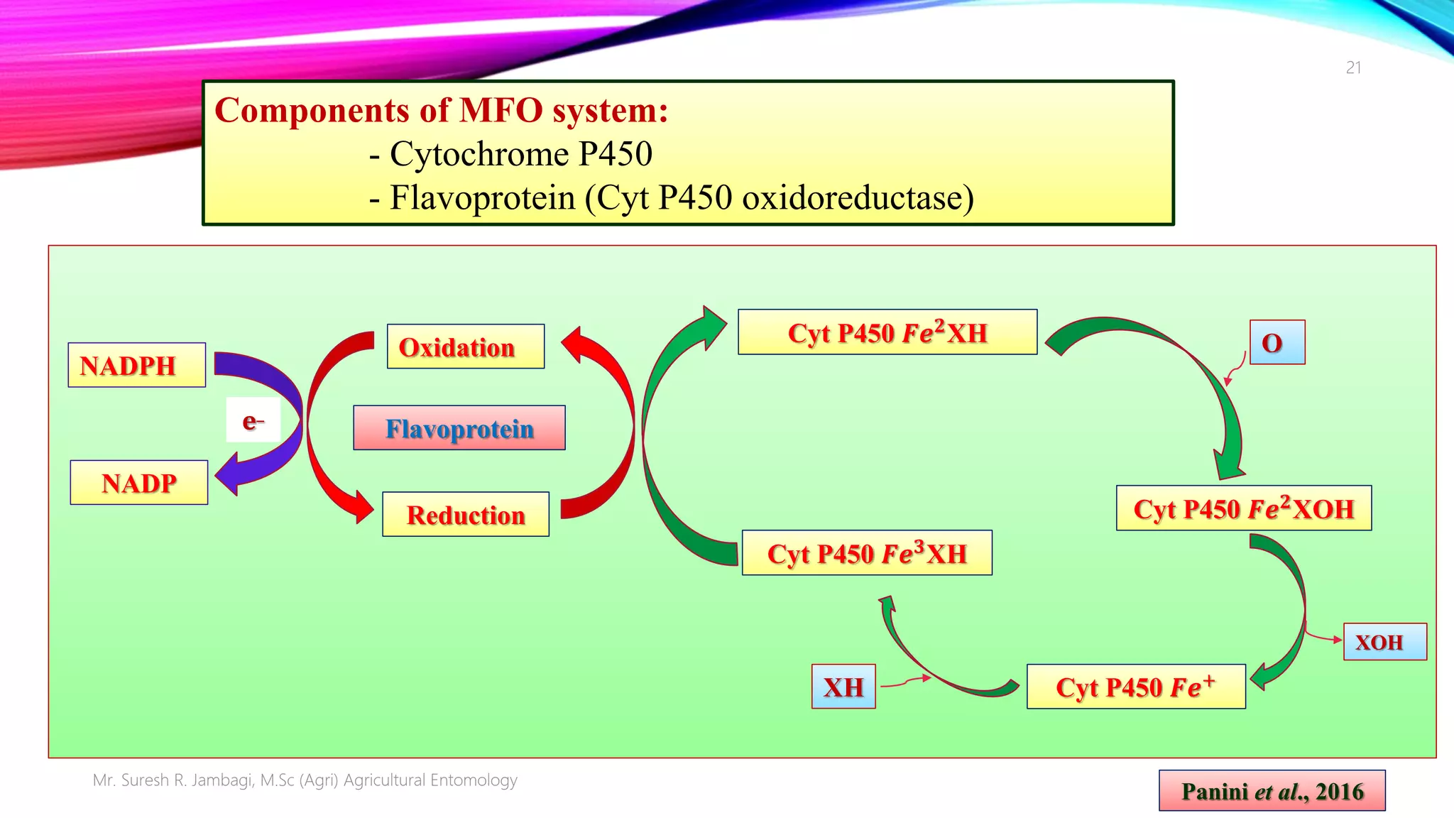 Metabolic resistance mechanism in insects | PPTX