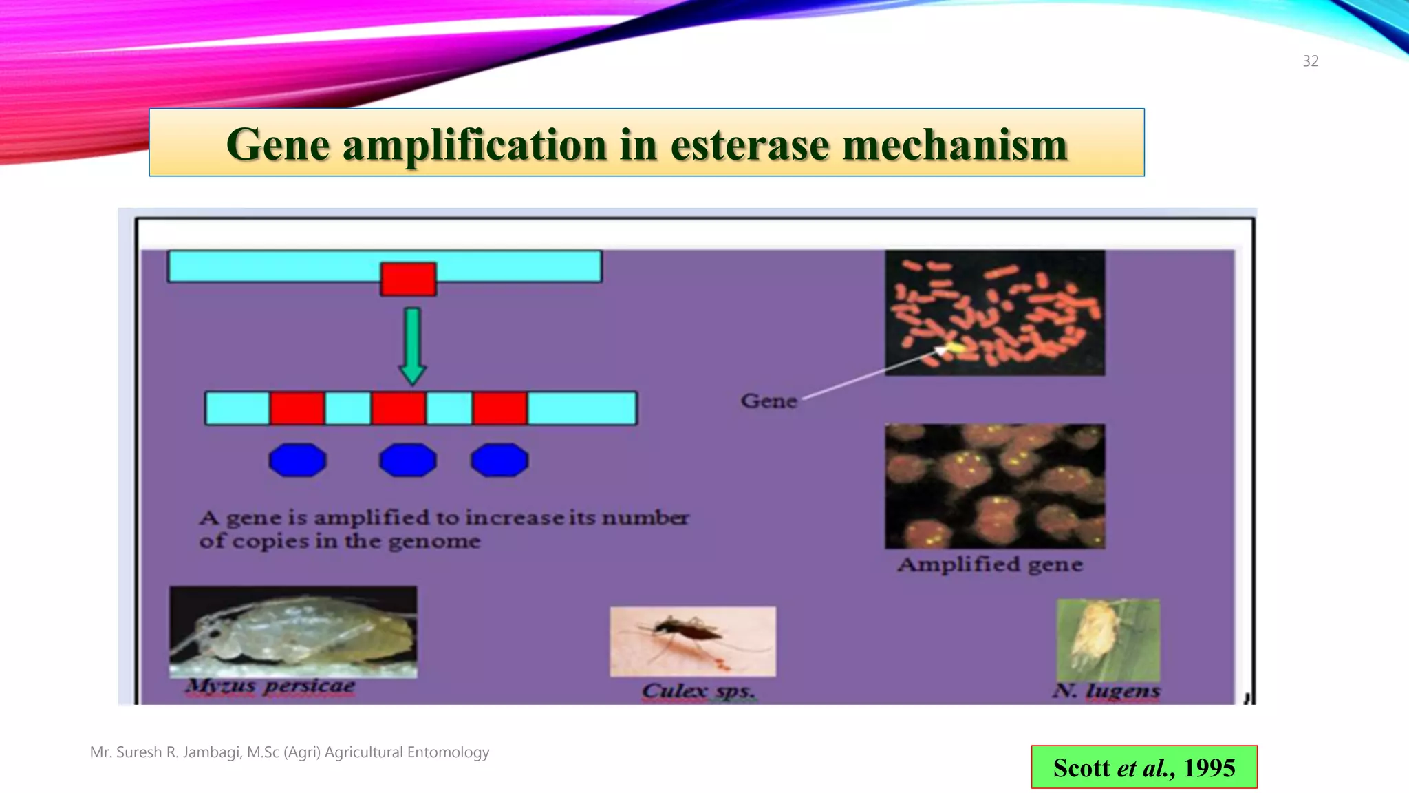 Metabolic resistance mechanism in insects | PPTX