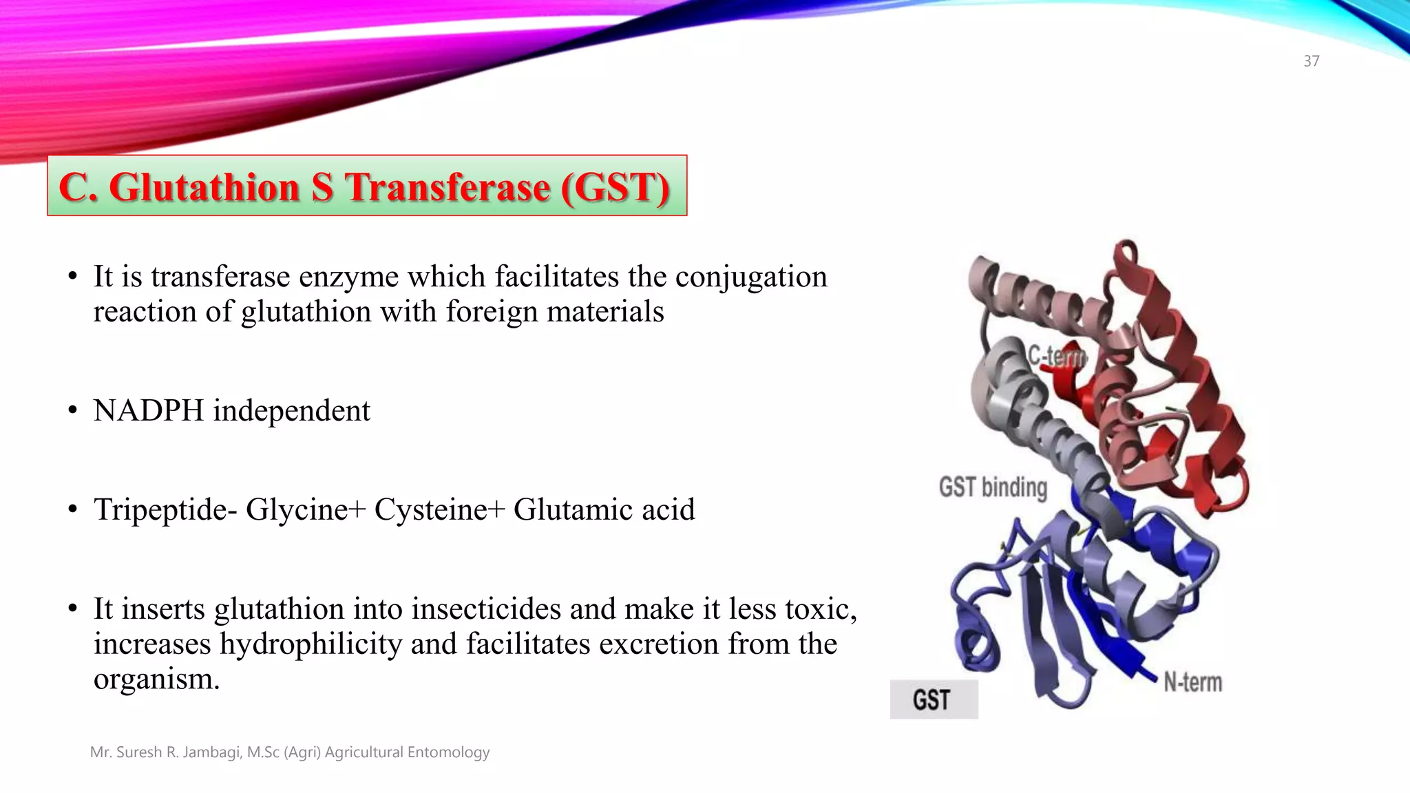Metabolic resistance mechanism in insects | PPTX