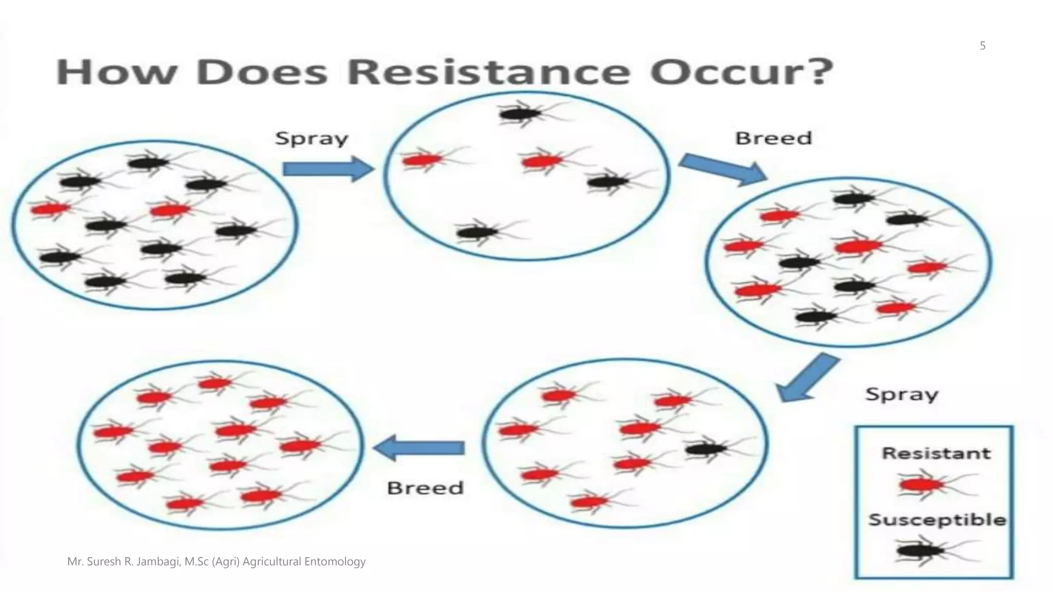 Metabolic resistance mechanism in insects | PPTX