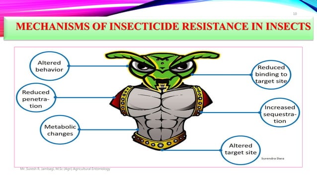 Metabolic resistance mechanism in insects | PPTX | Beekeeping | Hobbies & Interests