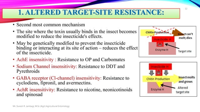 Metabolic resistance mechanism in insects | PPTX | Beekeeping | Hobbies & Interests