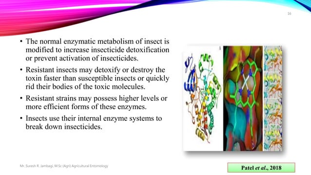 Metabolic resistance mechanism in insects | PPTX | Beekeeping | Hobbies & Interests