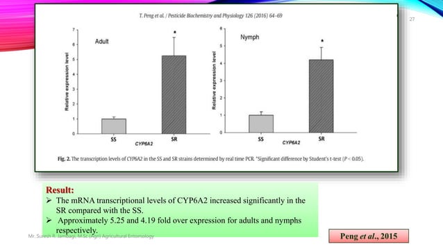 Metabolic resistance mechanism in insects | PPTX | Beekeeping | Hobbies ...
