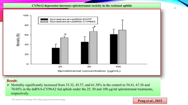 Metabolic resistance mechanism in insects | PPTX | Beekeeping | Hobbies ...