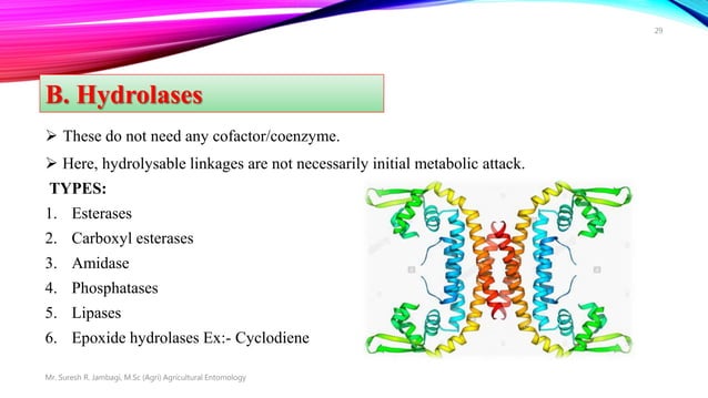 Metabolic resistance mechanism in insects | PPTX | Beekeeping | Hobbies ...