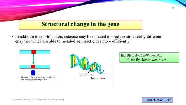 Metabolic resistance mechanism in insects | PPTX | Beekeeping | Hobbies ...