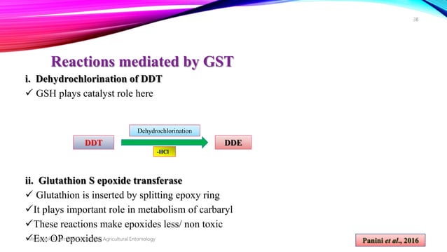 Metabolic resistance mechanism in insects | PPTX | Beekeeping | Hobbies ...