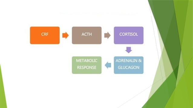 BODY METABOLIC RESPONSES TO SURGERY.pptx