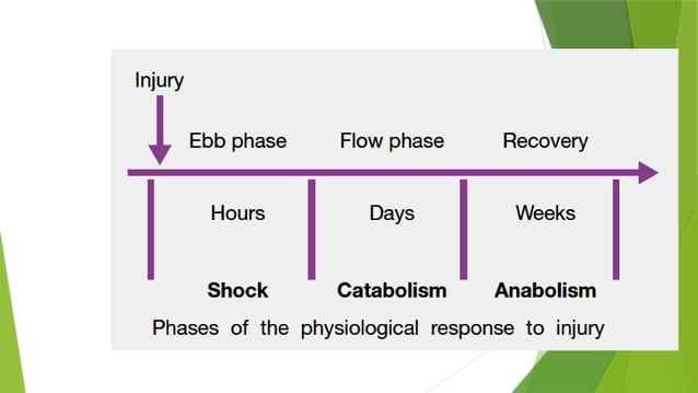 BODY METABOLIC RESPONSES TO SURGERY.pptx