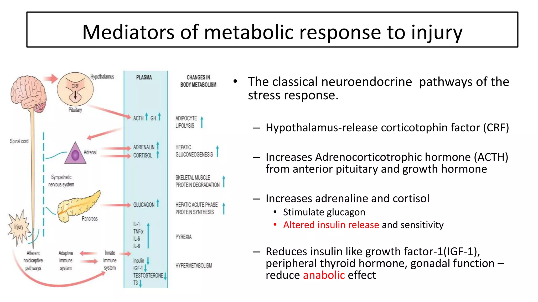 Metabolic response to injury | PPTX