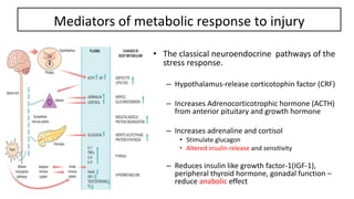 Metabolic response to injury | PPT