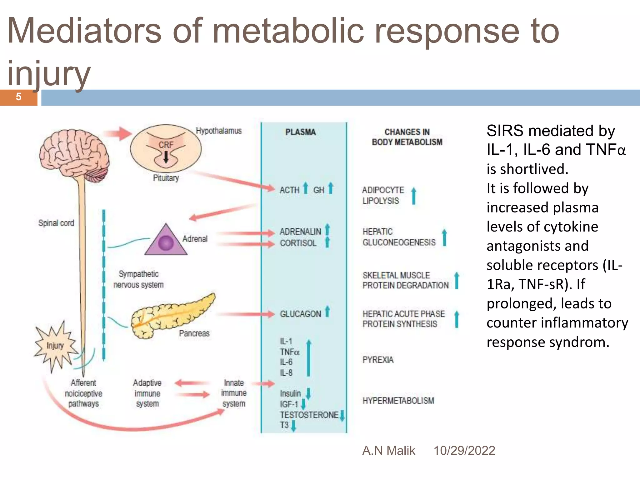 METABOLIC RESPONSE TO INJURY.ppt