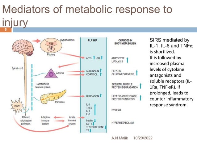 METABOLIC RESPONSE TO INJURY.ppt