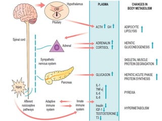 Metabolic response to injury | PPTX
