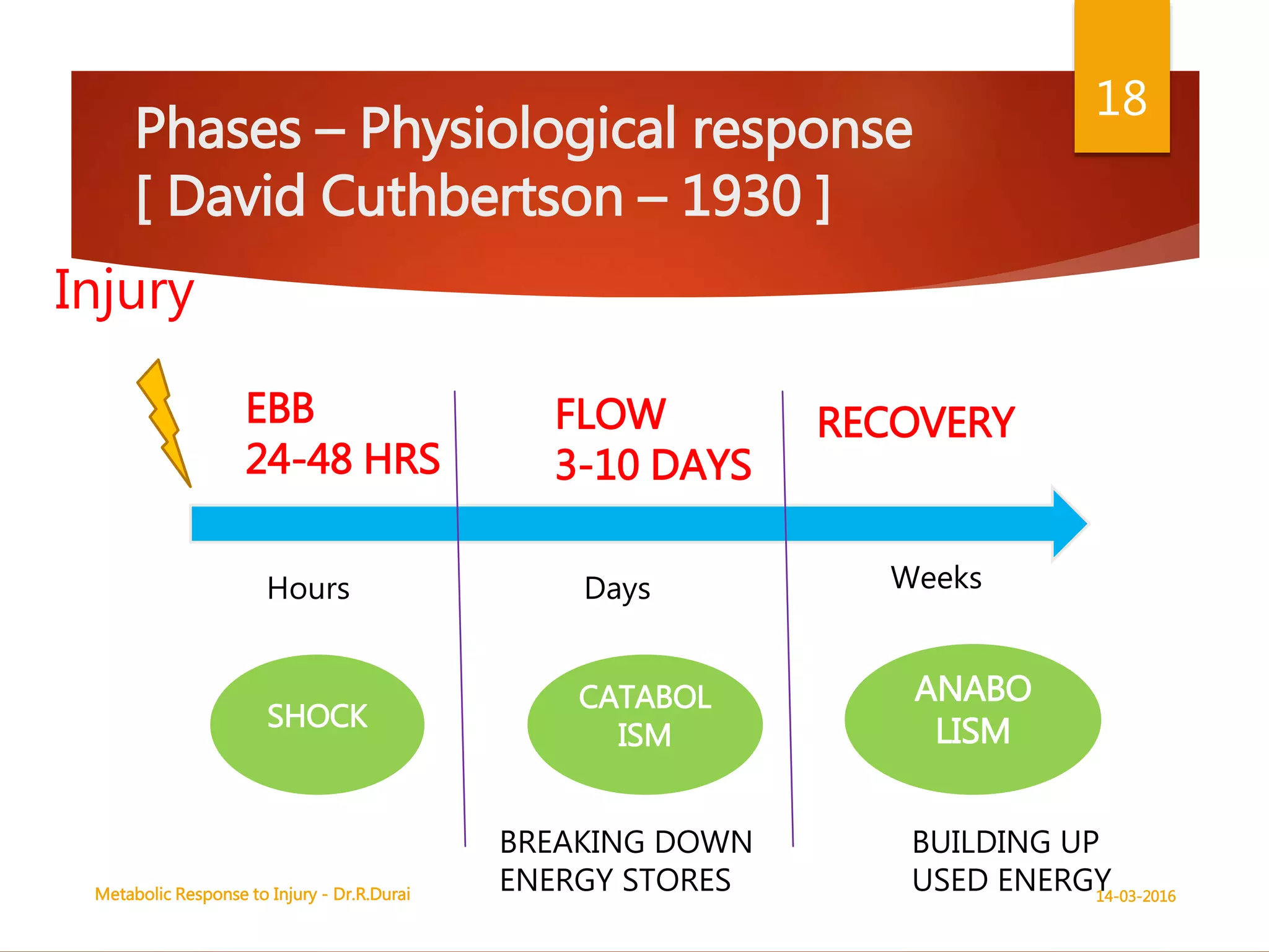 Metabolic response to injury 14 03-16 | PPTX
