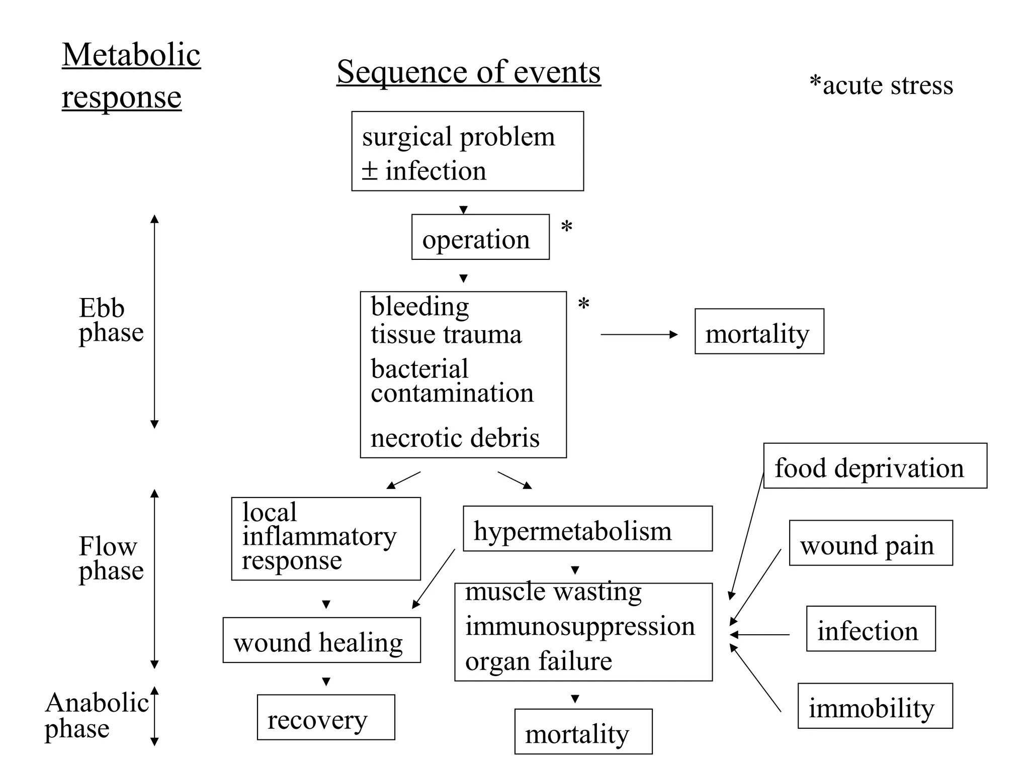 Metabolic response to trauma | PPT