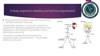 Metabolic response to trauma or injury | PPT