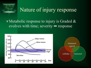 Metabolic respons to injury | PPTX | Endocrine and Metabolic Diseases ...