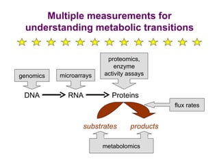 Methylobacterium extorquens: Metabolic superstar | PPT