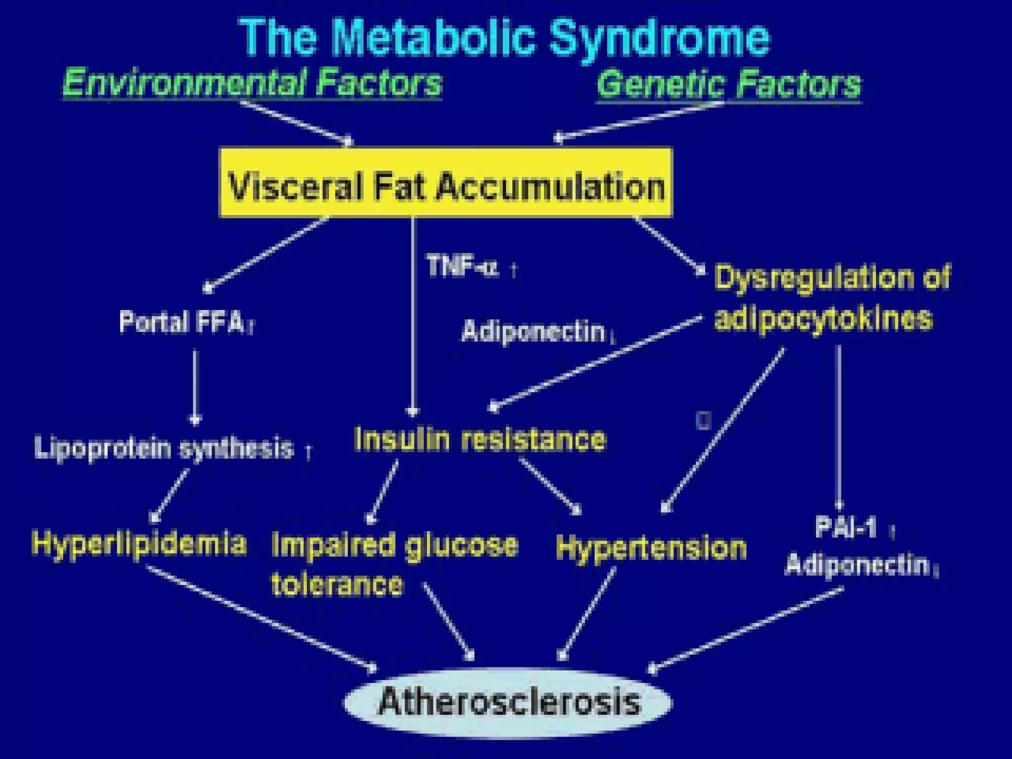 Metabolic syndrome | PPT