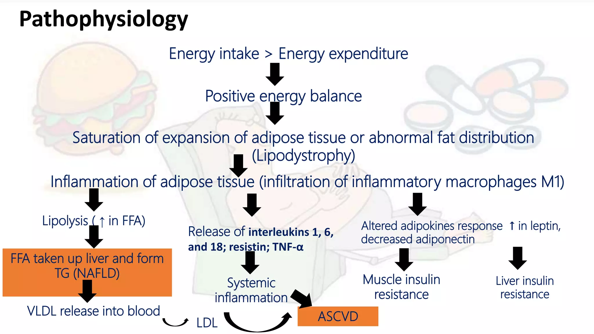 Metabolic Syndrome- Pathophysiology, Treatment I Insulin Resistance Syndrome I Endocrine ...