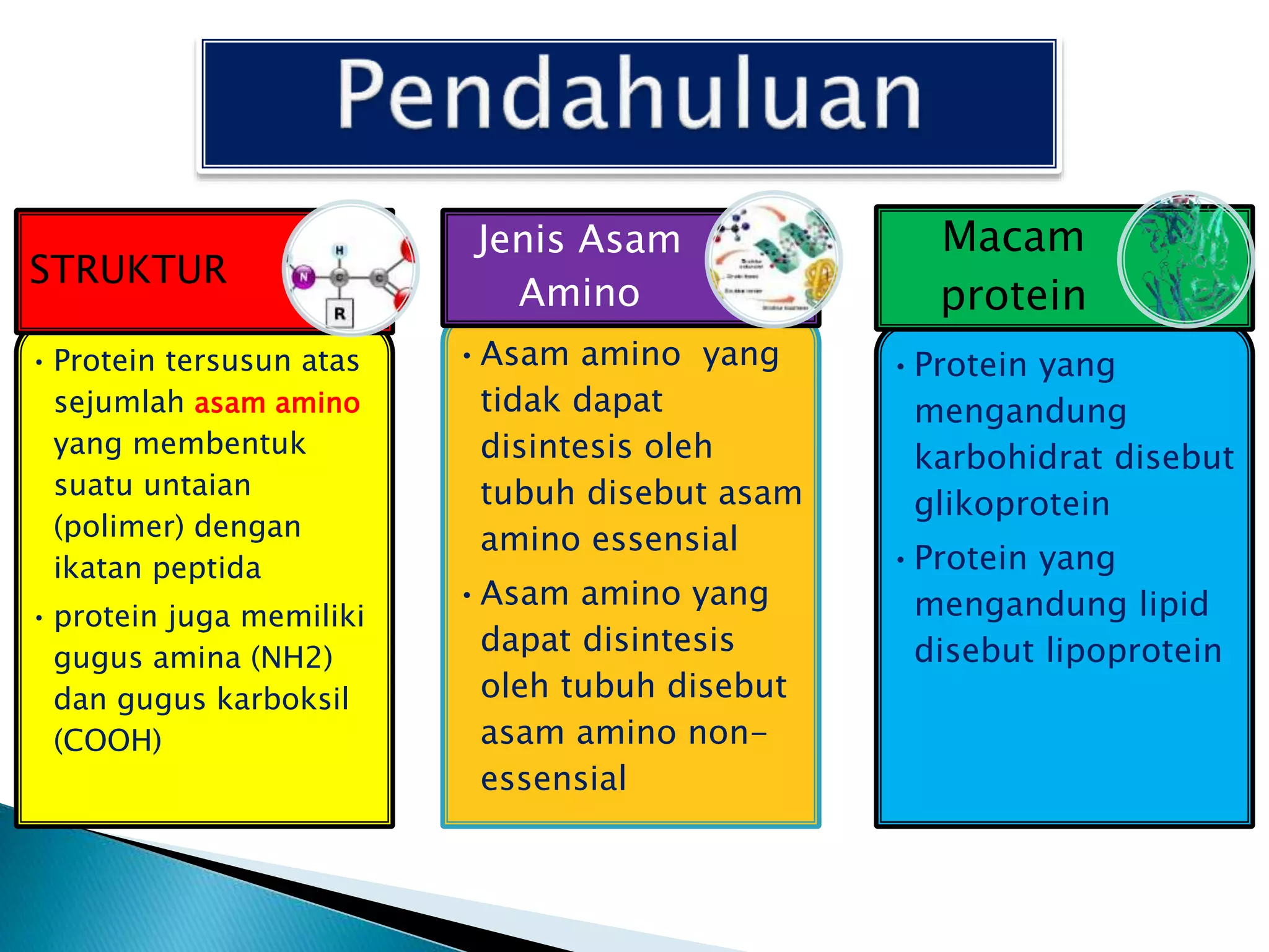 Metabolime protein | PPTX