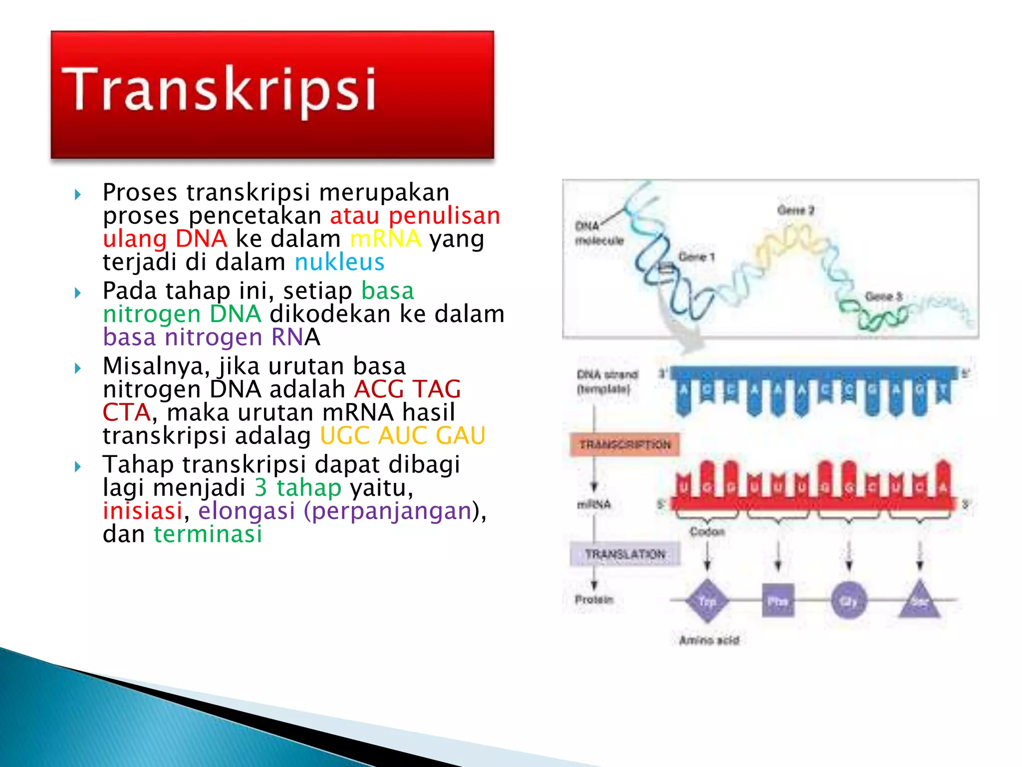Metabolime protein | PPTX