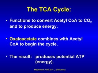 Metabolism- Biochemistry | PPT