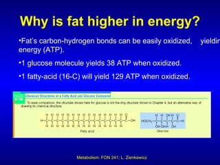 Metabolism- Biochemistry | PPT