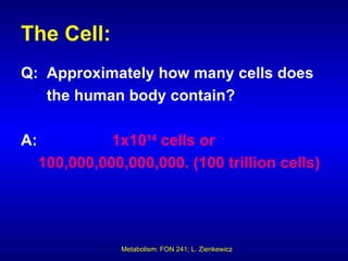 Metabolism- Biochemistry | PPT