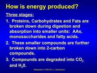 Metabolism- Biochemistry | PPT