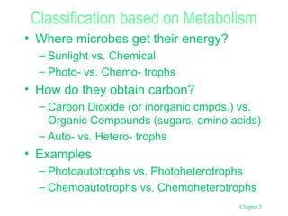 Metabolism in Fungi | PPT