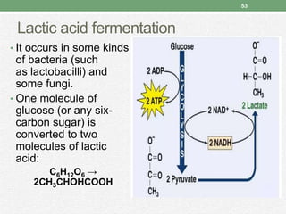 Metabolism | PPTX