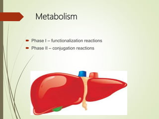 Metabolism | PPTX