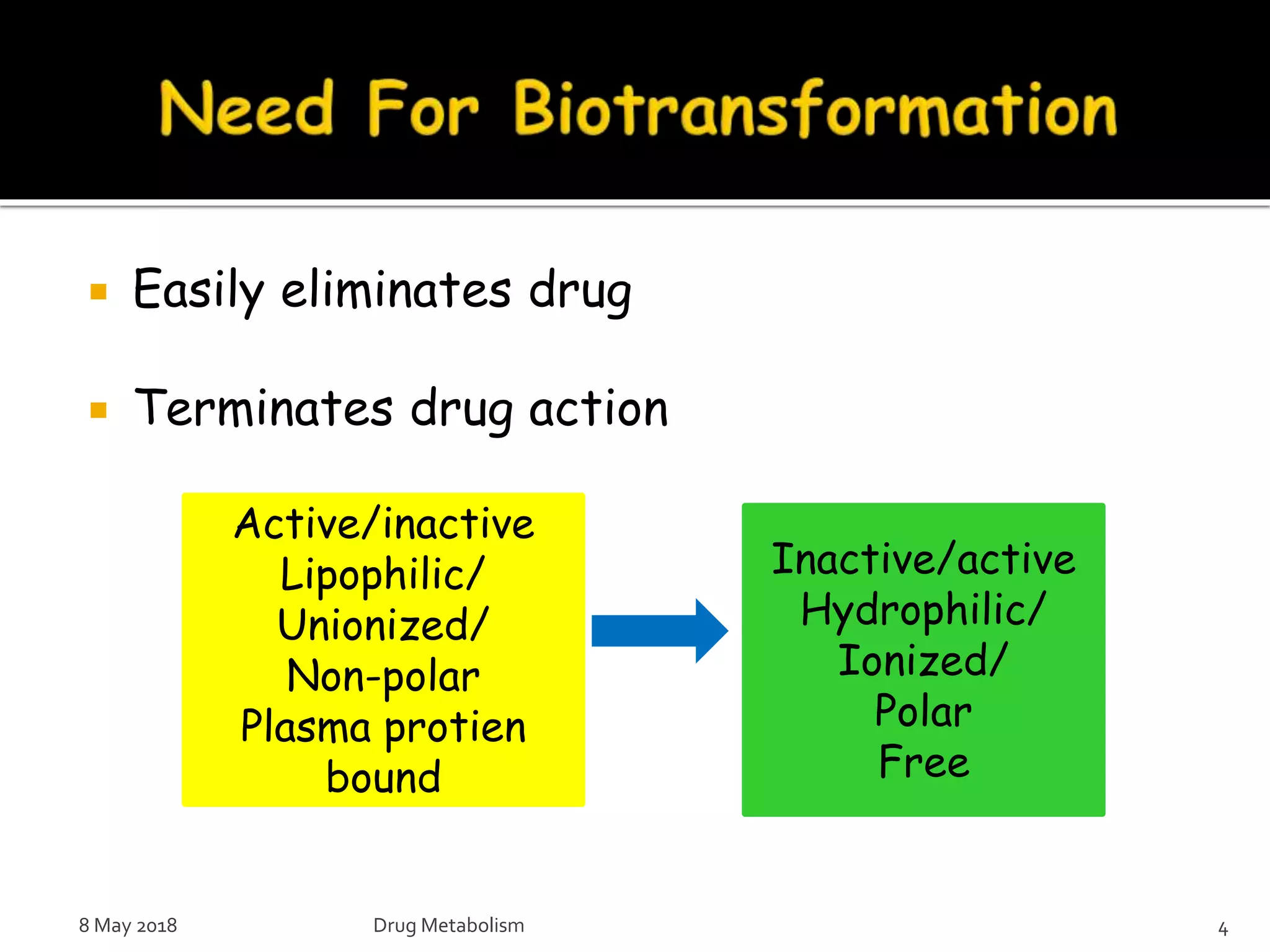 Metabolism | PPT