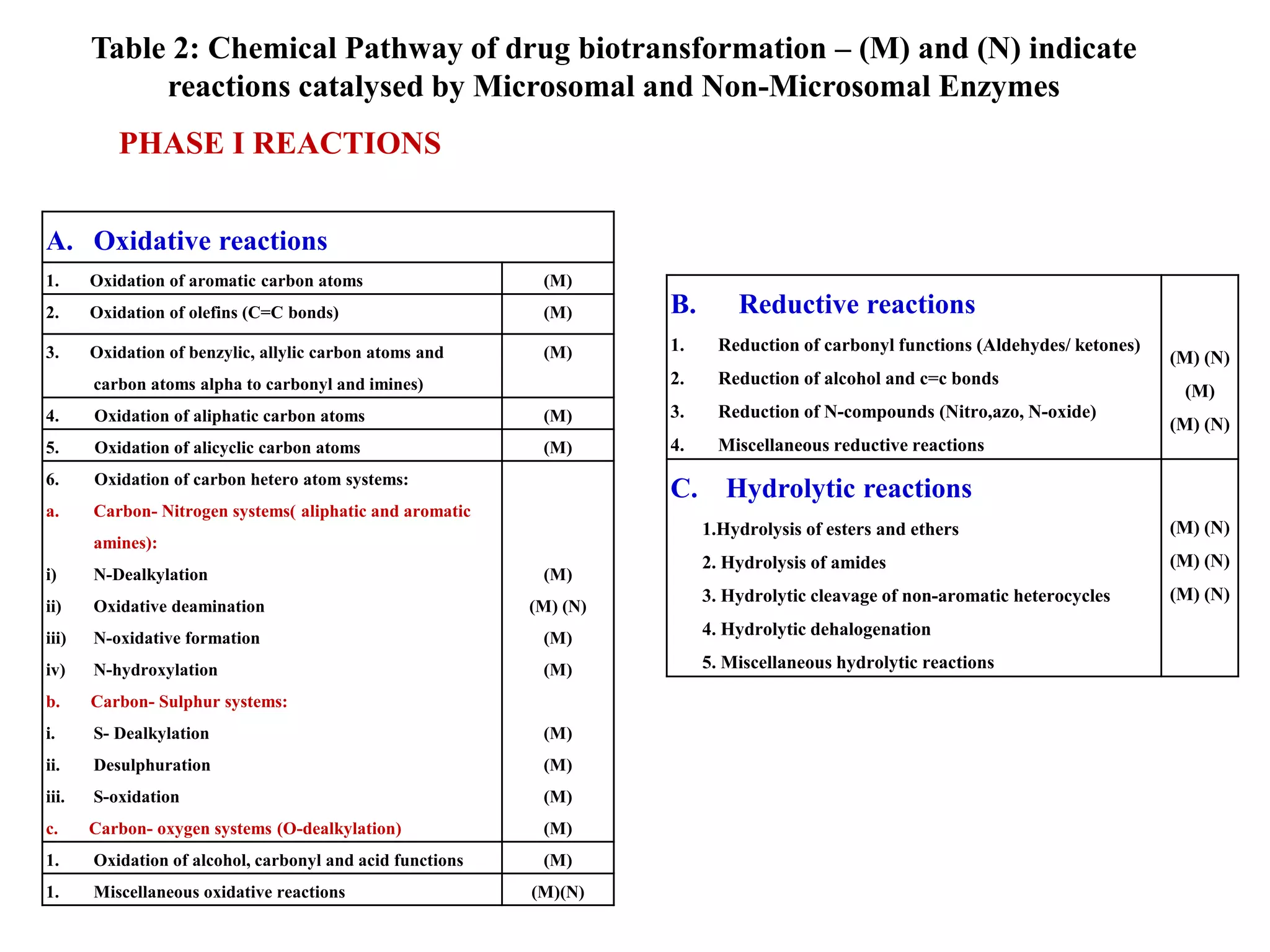 Metabolism | PPTX