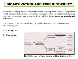 Metabolism | PPTX