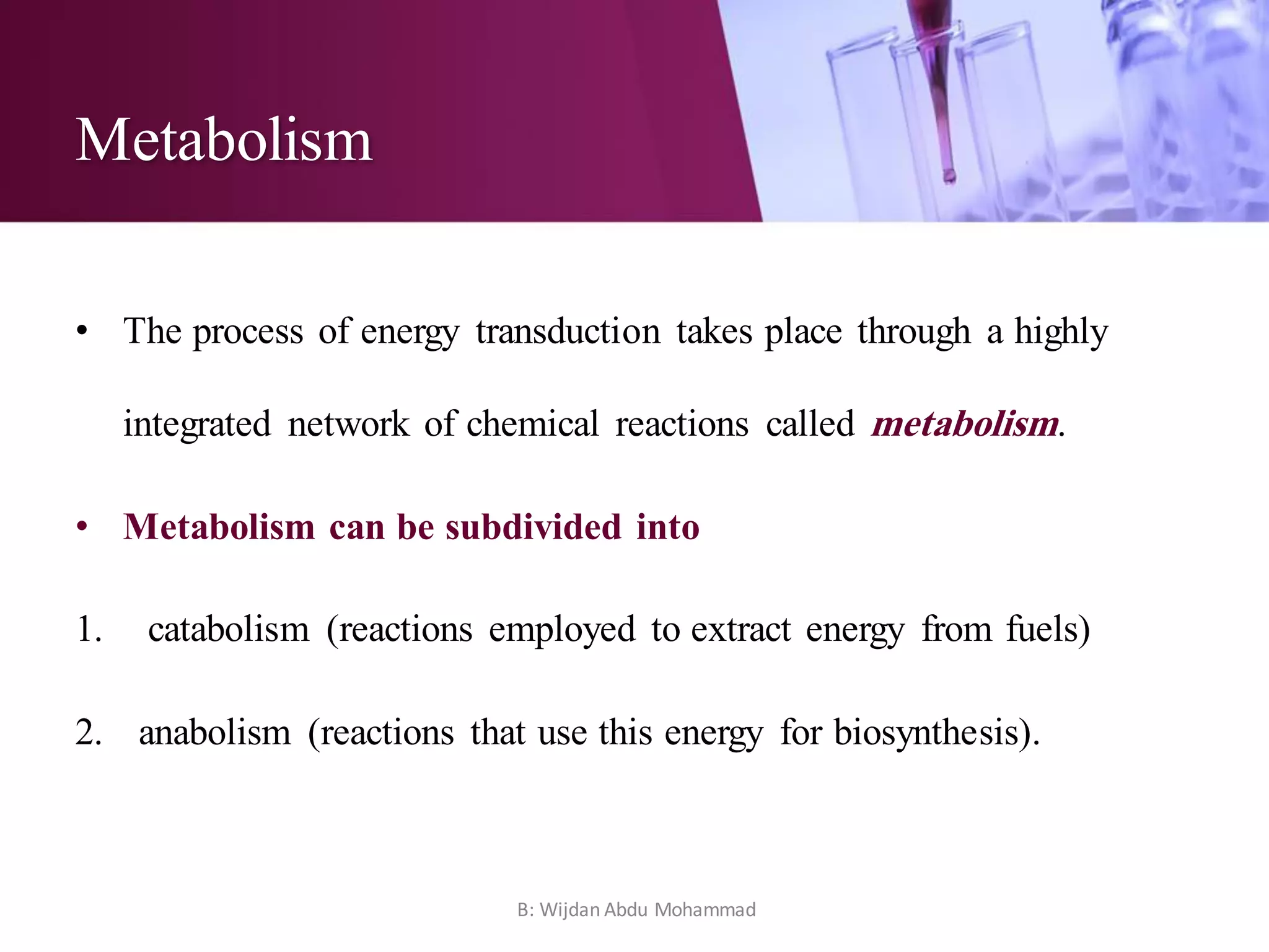 Metabolism | PDF