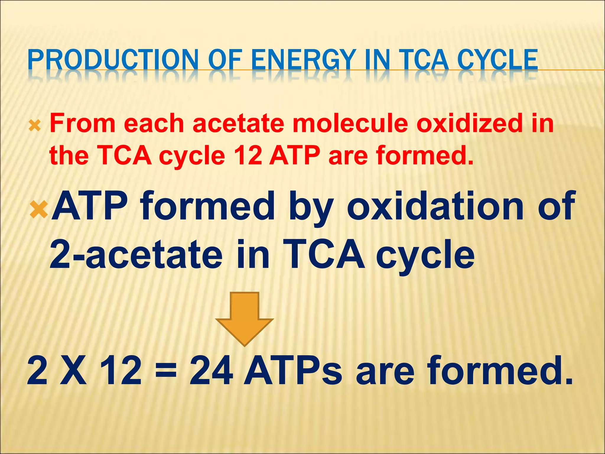 Metabolism of carbohydrate, protein & lipid. | PPT