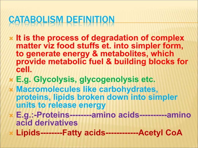 Metabolism of carbohydrate, protein & lipid. | PPT | Endocrine and ...