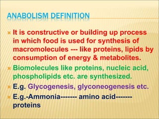Metabolism of carbohydrate, protein & lipid. | PPT