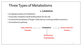 Metabolism | PPTX