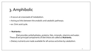 Metabolism | PPTX
