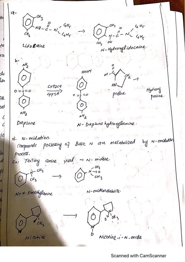 Drug Metabolism by phase 1 and 2 reaction.. | PDF