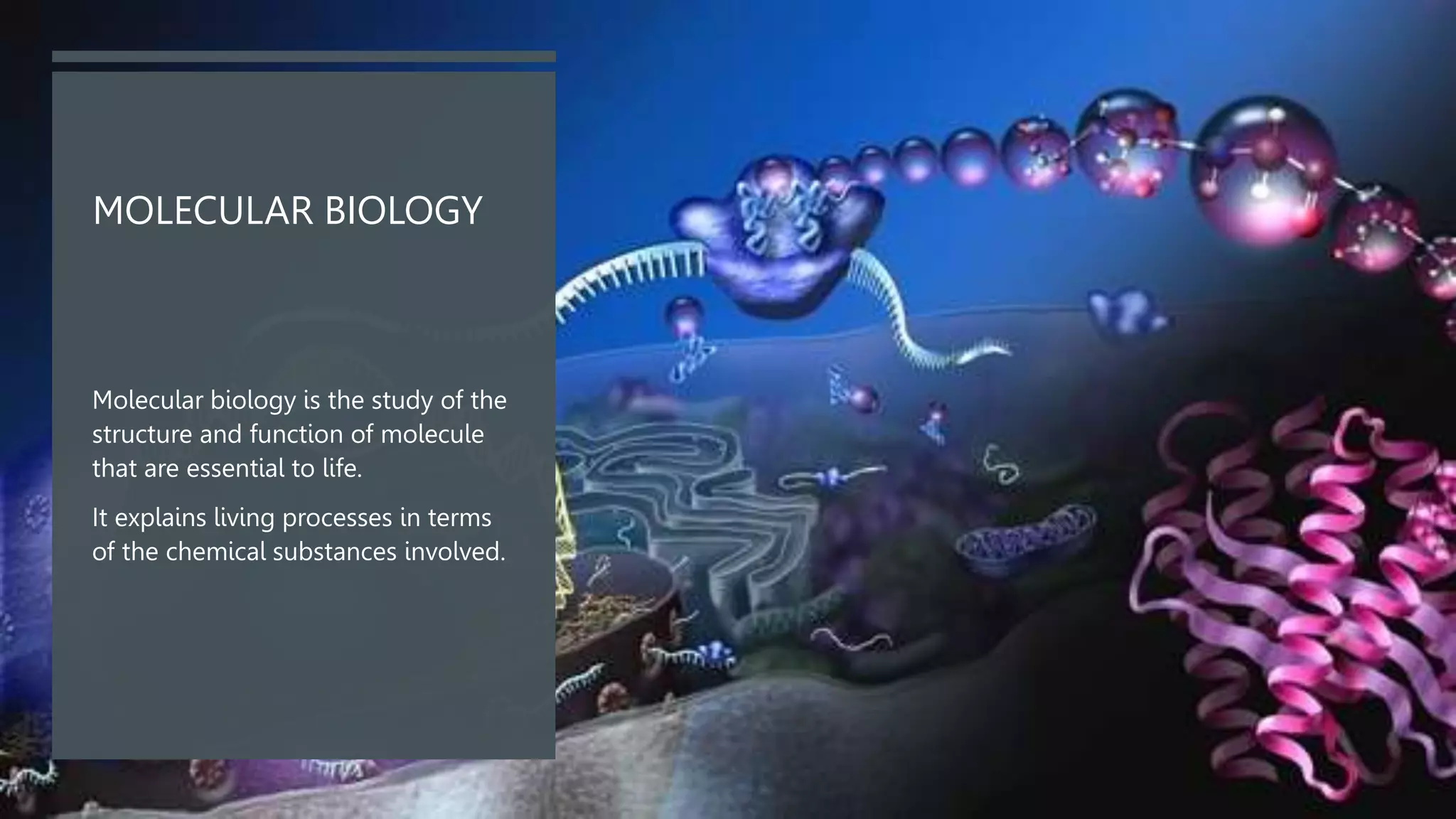 Molecules to Metabolism.pptx